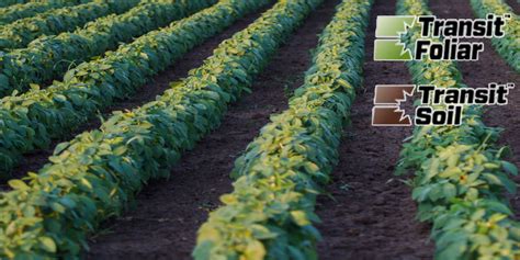 Power Yield Plus Crop Yield Enhancement Products Power Yield Plus Transit By Fbsciences