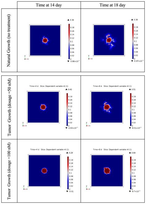 A Fully Coupled Space Time Multiscale Modeling Framework For Predicting