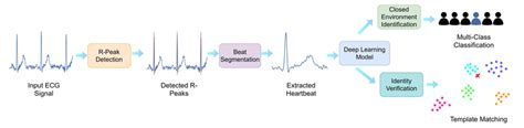 The Proposed Edith Pipeline From An Input Ecg Signal The R Peaks Are