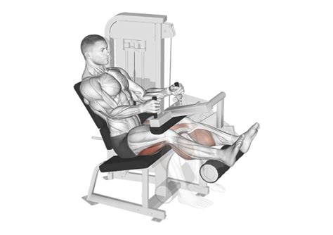 Legs Curl Cest Le Meilleur Exercice Pour Tes Ischio Jambiers
