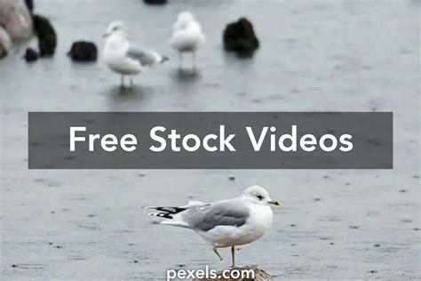 Ukrainalainen Rissa Videos Download The Best Free 4k Stock Video