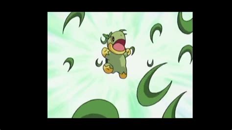 Pokemon DP Turtwig Breaks Up Piplup And Aipoms Fighting YouTube