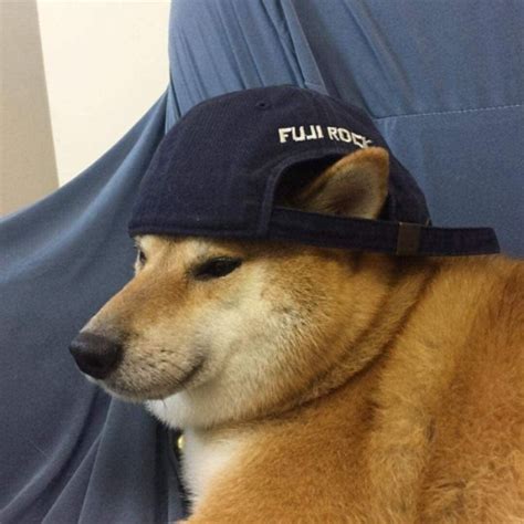 Otogishi Cửa Hàng Trực Tuyến Shopee Việt Nam