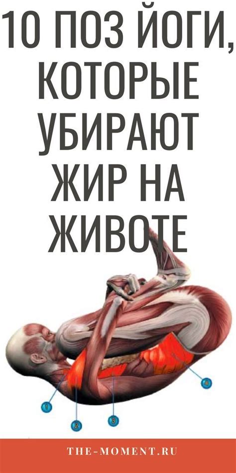 10 поз йоги чтобы убрать жир на животе Easy Yoga Workouts Yoga Guide Yoga Health