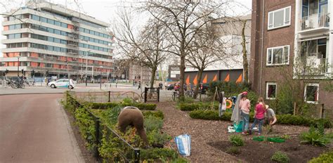 Grassroots Initiatives And Citizen Power Susplace