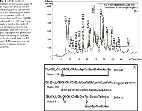 Hplc Profile Of Methanolic Antifungal Extract Of B Tequilensis P15 A