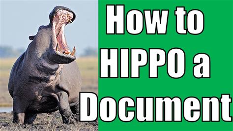 How To Hippo A Document Youtube
