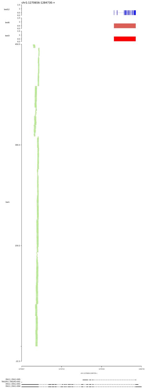 command line usage trackplot