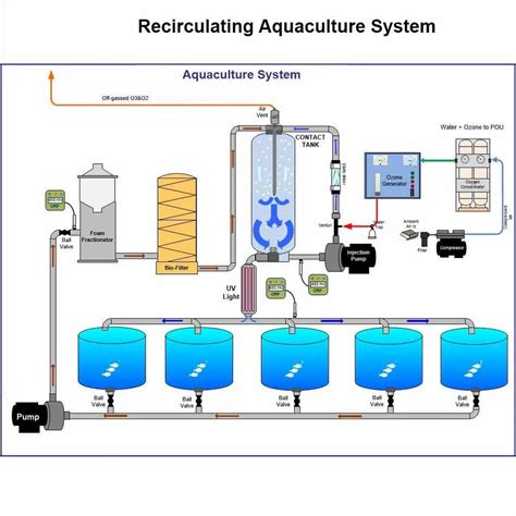 Recirculating Aquaculture System At Best Price In Vadodara By Sai Systems Id 2851886128712