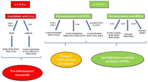Eicosanoid And Specialized Pro Resolving Mediator Biosynthesis The
