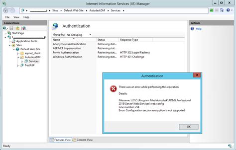 Iis Authentication