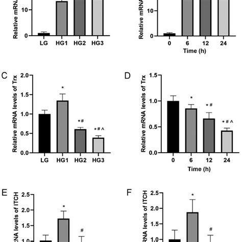 Mrna Expression Levels Of Txnip Trx And Itch In Hlecs Hlecs Were