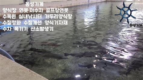 송어양식장 양어장 양식장 낚시터 실내낚시터 바다실내낚시터 가두리양식장 수차 폭기기 수질개선 수질정화 하수종말처리장 양식기자재