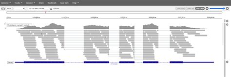 04 Visualizing And Counting Of The Alignments Introduction To Rna Seq