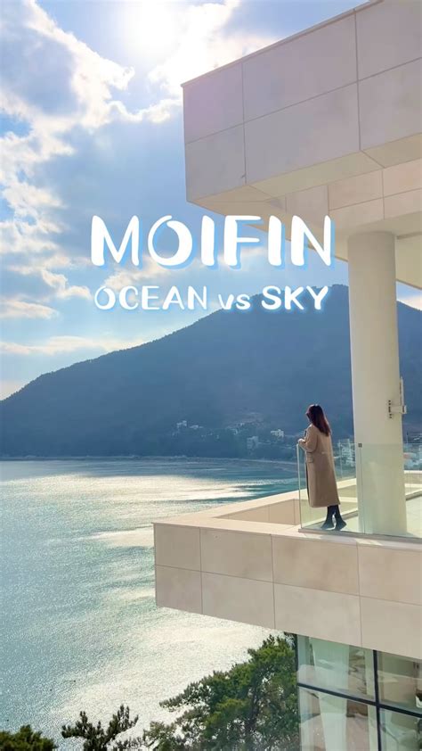 모야신비🍦 여행 나들이 숙소 이용권제공 당일캠핑장 실내놀이터 바베큐식당 🩵 2024년 12월 24일 오픈한 초신상 당일 캠크닉 ⛺️ 무려 1500평의