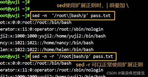 文本三剑客之sed编辑器sed 打印行号 Csdn博客 文本三剑客之sed编辑器sed 打印行号 Csdn博客
