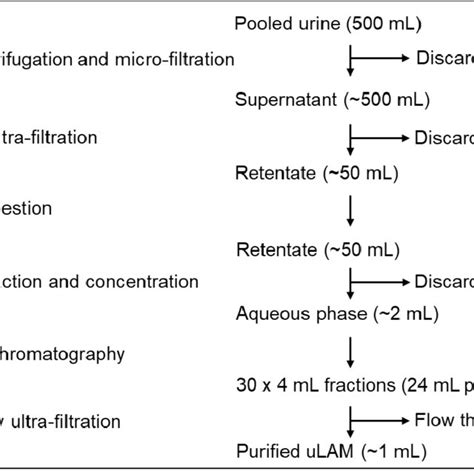 A Flow Diagram Depicting The Sequential Processing Methods Steps Used
