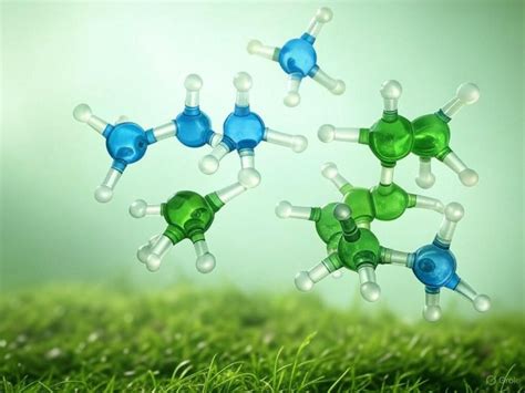 Biosurfactants Intersurfchem