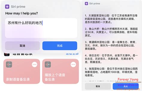 Iphone手机接入chatgpt Forever Young