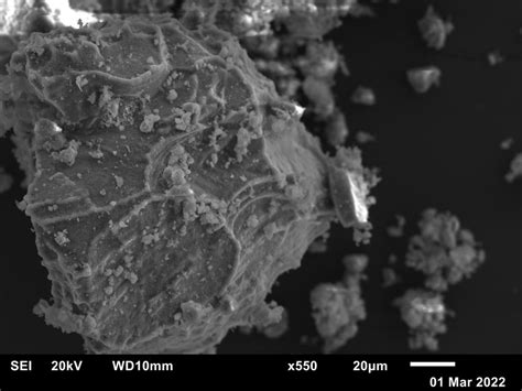 Sem Image Of The Mgs Sample Dust Of The Fine Fraction Is Sticking To
