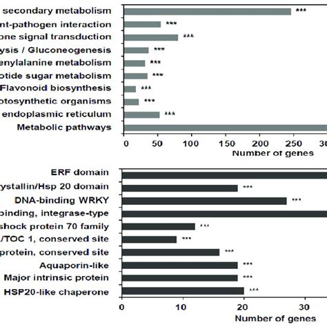 Global Analysis Of Differentially Expressed Genes Degs In Co2 Treated