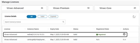 Virsec License Server Configuration