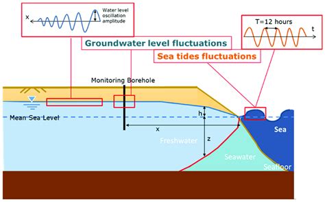 Conceptual Diagram Of Tidally Induced Groundwater Level Signals Over Download Scientific