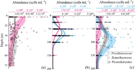 Vertical Distribution Of Picophytoplankton Abundance In The A Yellow Download Scientific