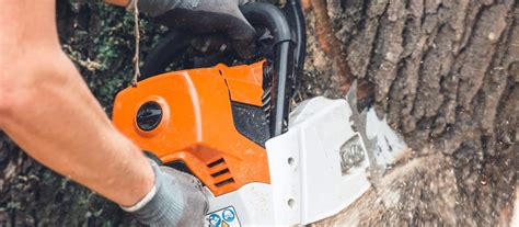 The Ultimate Guide To Tree Cutting Services Unveiling Our Expertise Goodfellers Ie