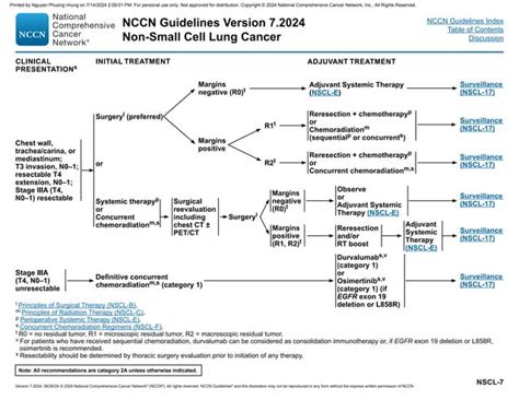 Nccn Clinical Practice Guideline In Oncology Pdf Lung And