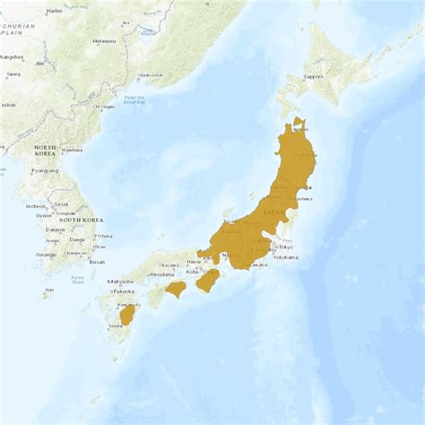 Definitive Guide To Japanese Serow Facts Habitat Conservation Status
