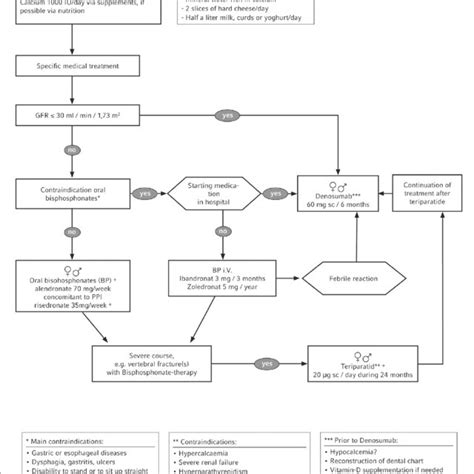Osteoporosis Diagnostic Algorithm Download Scientific Diagram