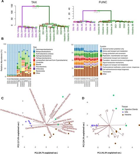 Multivariate Analysis Of Metagenomes Microbial Taxonomical And