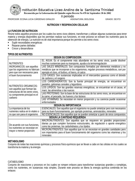 Biologia Sexto NutriciÓn Celular Pdf Respiración Celular Nutrientes