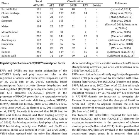 Genome Wide Survey Of AP2 ERF In Different Plant Species Download Scientific Diagram