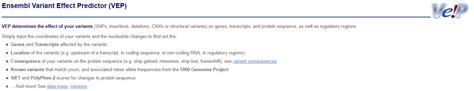 Building Custom Databases In Vep For Annotation Of Snps