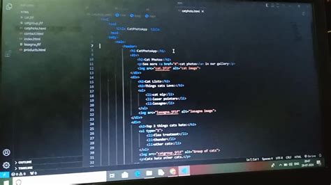 Amirdhaa Saravanan On Linkedin Html Catphotoapp Aboutcat Responseofusers
