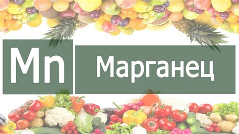 МАРГАНЕЦ - YouTube