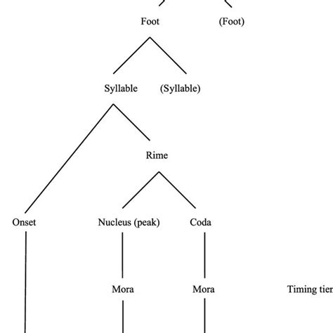 Structure Within The Segment Download Scientific Diagram