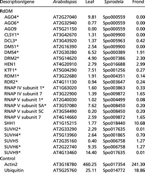 Gene Expression In The Pathway Of Rna Directed Dna Methylation Rddm