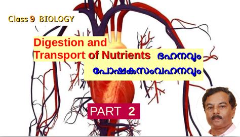 Class 9 Biology Chapter 2 Slides Part 2