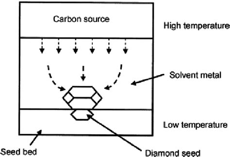 Assembly Schematic Diagram For The Temperature Gradient Method