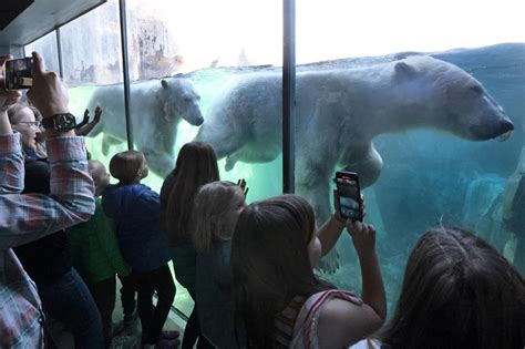 The Chris And Amy Show 5 6 25 The Chris And Amy Show 5 6 25 New To Streaming Or Looking To Level