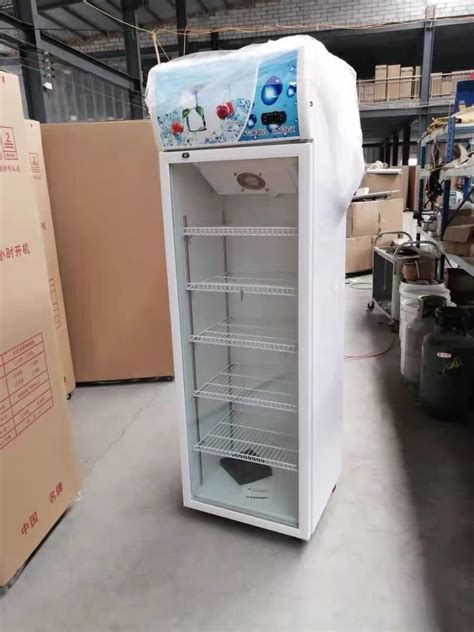 飲料櫃單雙門冷藏展示櫃 家庭電器 廚房電器 雪櫃及冰櫃 Carousell