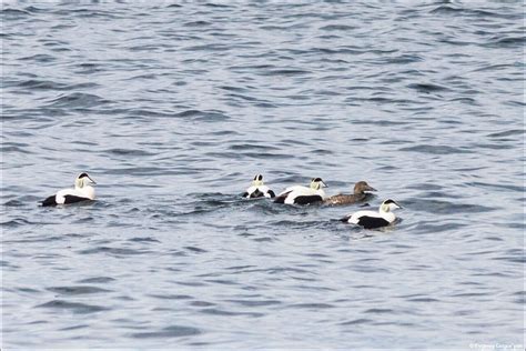 Групповые туры в апреле на Кольском