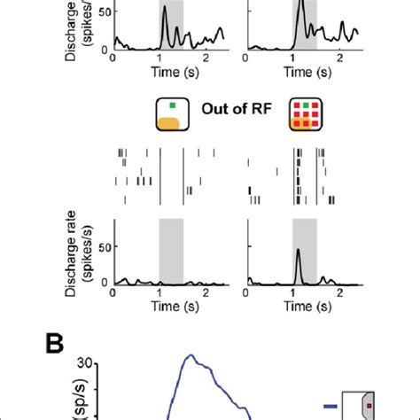 Pdf Bottom Up And Top Down Attention