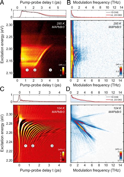 Figure 3 From Decoding Ultrafast Polarization Responses In Lead Halide