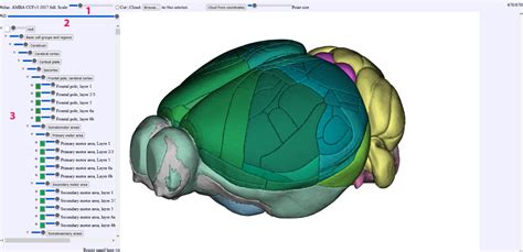 1 Basic Usage Description — Meshview Documentation