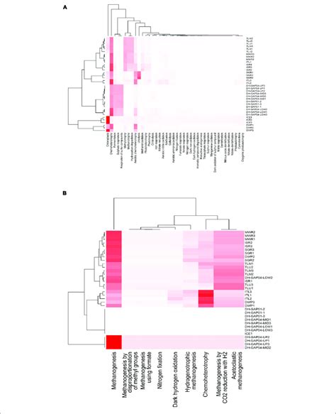 heatmap cluster based on the relative functional abundance