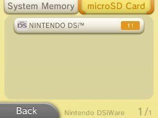 DS Hacking Guide CFWaifu